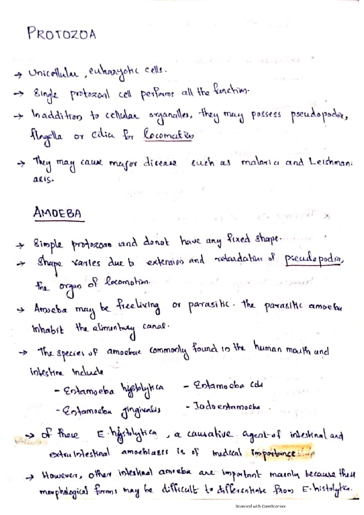Entamoeba histolytica - Bsc MLT - Studocu