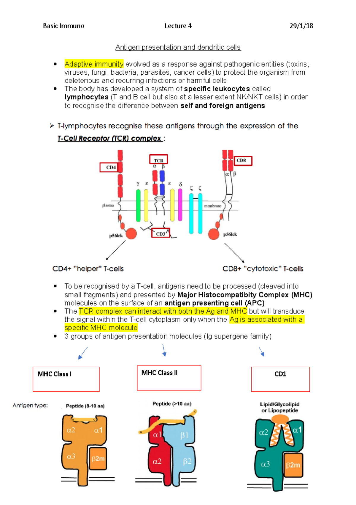 Antigen presentation and dendritic cells - Basic Immuno Lecture 4 29/1 ...