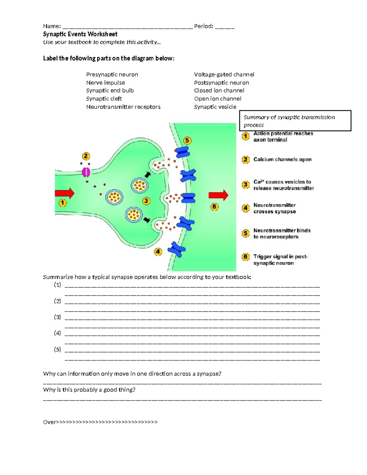8. Synaptic Transmission Worksheet - Name ...