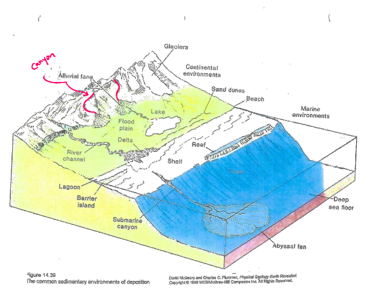 1. Depositional Environments - Terrestrial - D2L - GEOL 410 - Studocu