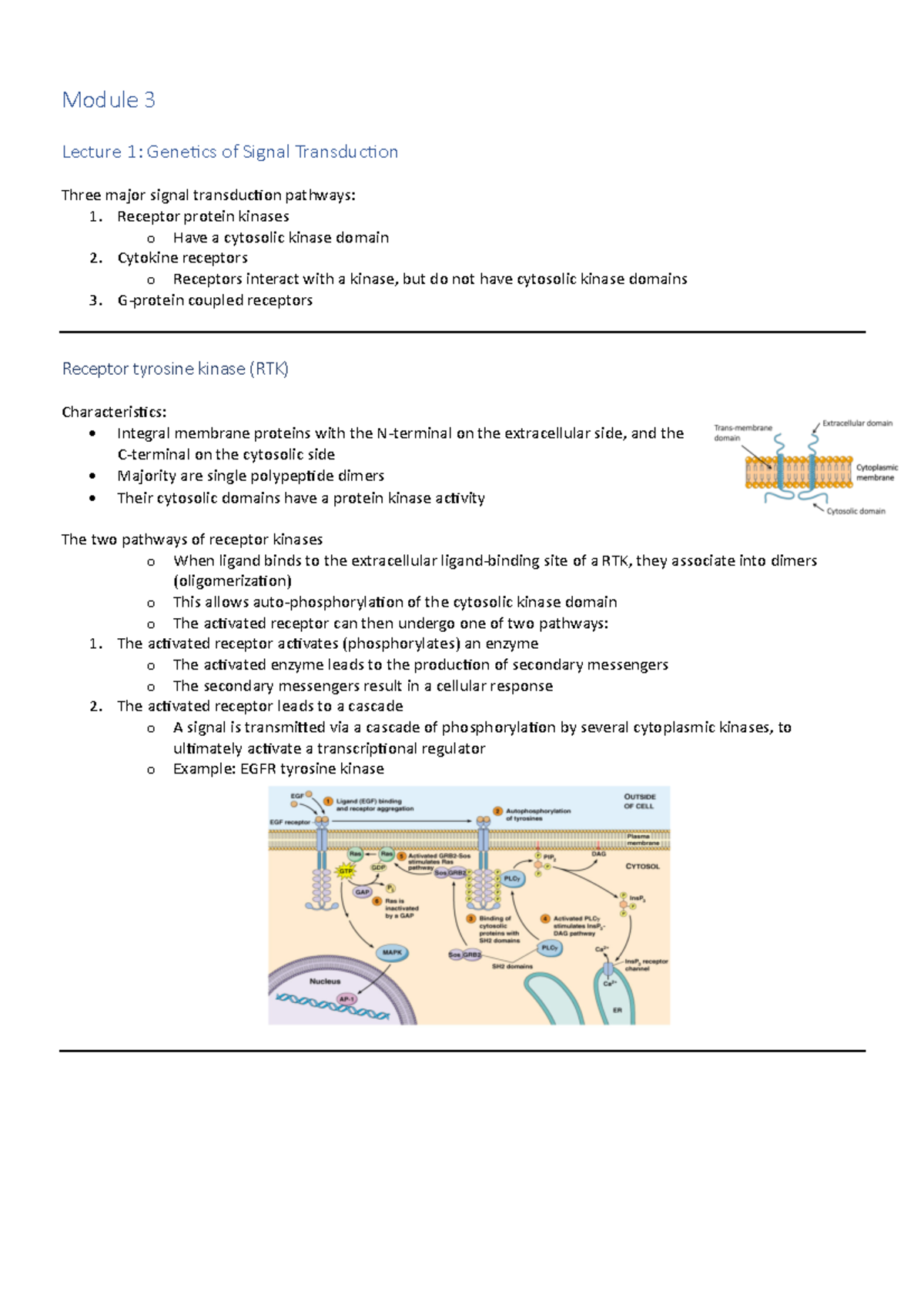 Module 3 sum - description - Module 3 Lecture 1: Gene,cs of Signal ...