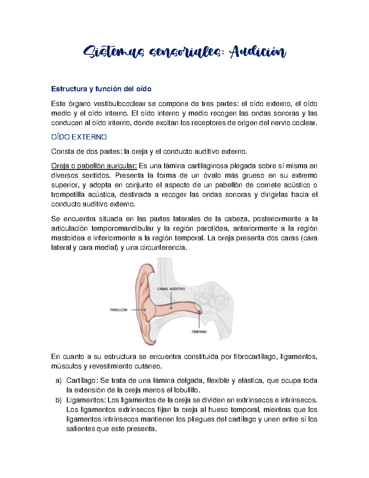 Resumen Audición Olvera Diana - Sistemas sensoriales: AudiciÛn ...