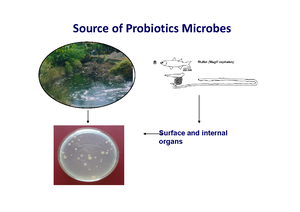 Python The Complete Reference PDF - Learn Python in One Day and Learn ...