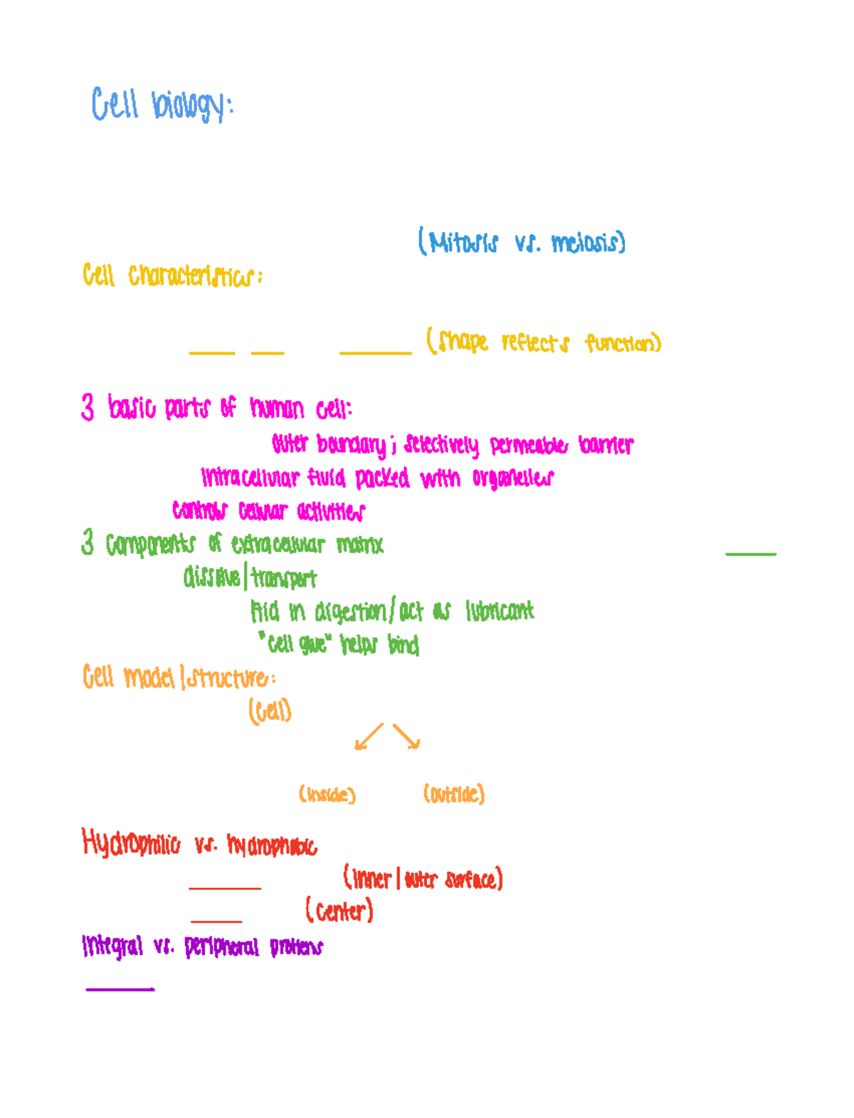 Cell Biology Notes - Cell biology 3 components of celltheory n ...