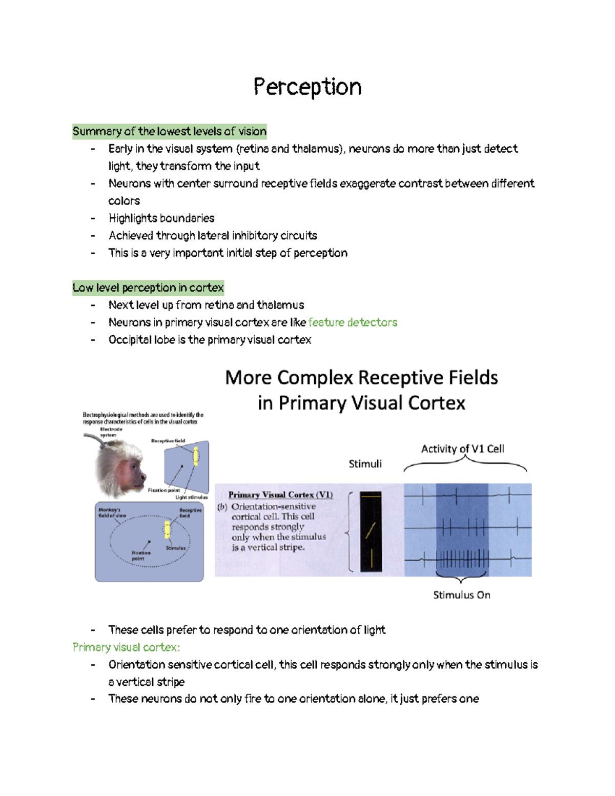 Perception Part 3 - Perception Summary of the lowest levels of vision ...