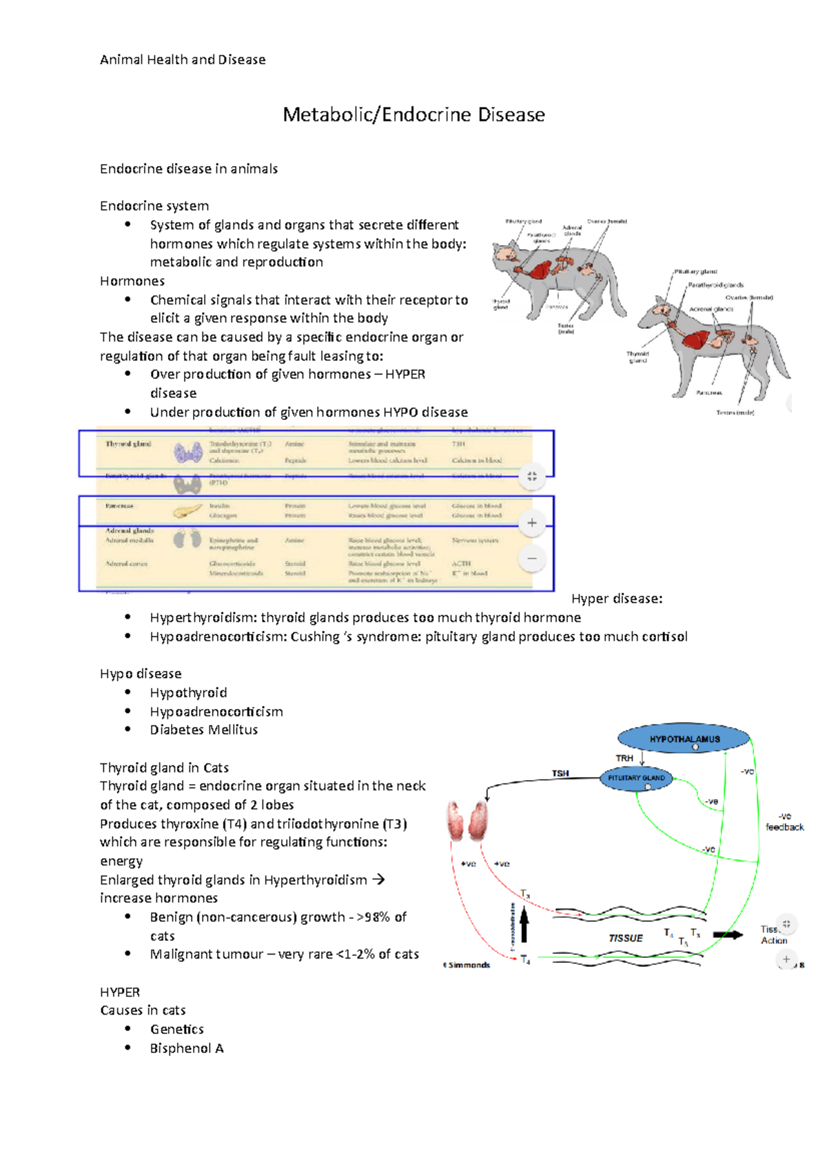 Metabolic and Endocrine Disease - notes - Metabolic/Endocrine Disease ...