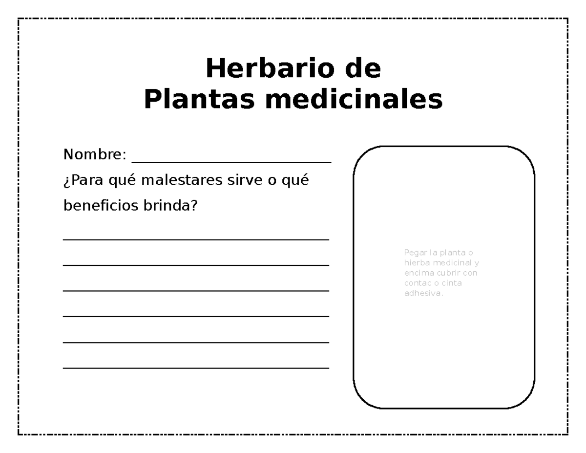 Ficha de registro para herbario - Herbario de Plantas medicinales ...