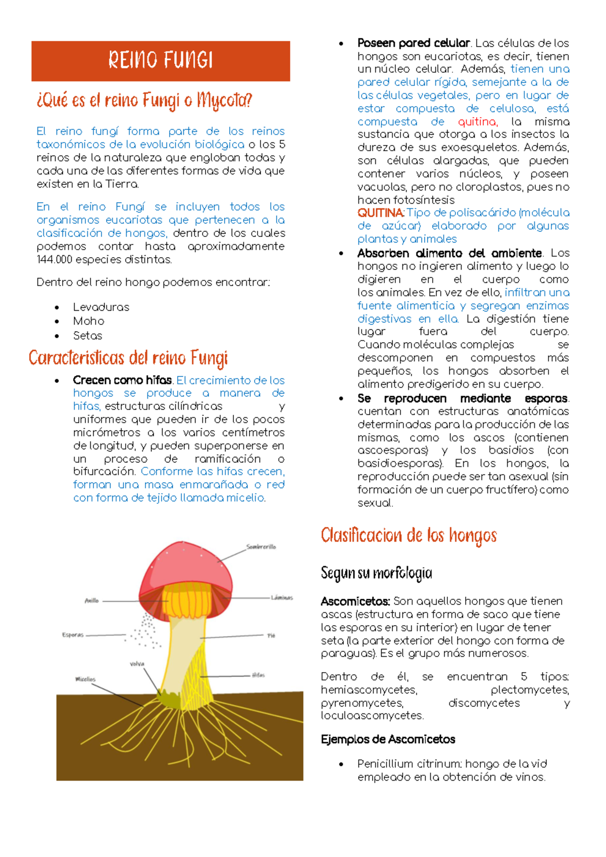 Reino Fungi - El reino fungí forma parte de los reinos taxonómicos de ...