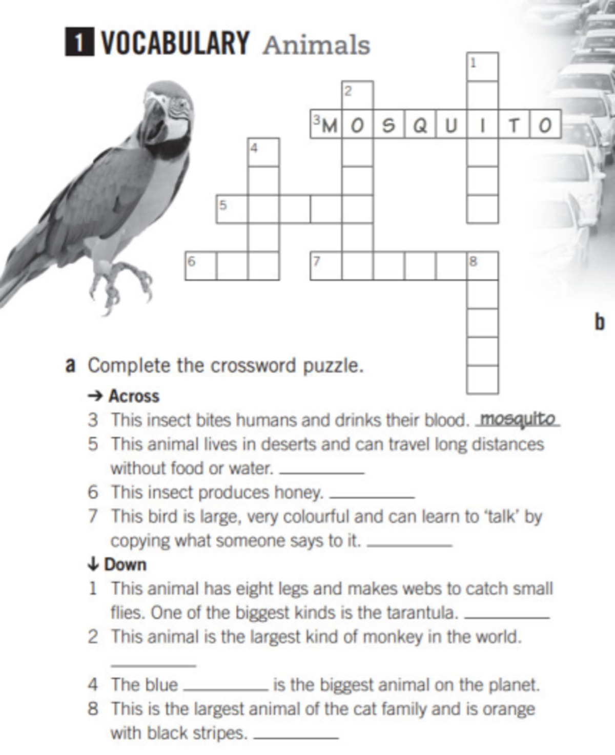 Animal Puzzle - Quiz English for Student - Teaching English Methodology ...