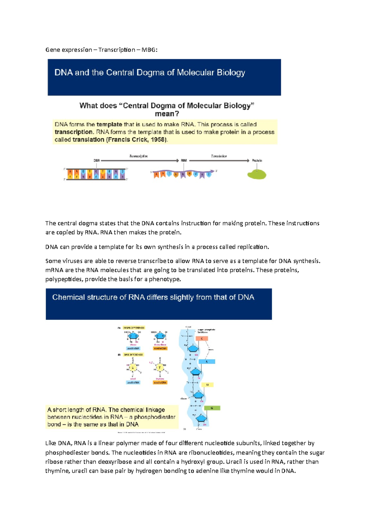 Gene expression - Lecture notes 9 - Gene expression – Transcription ...