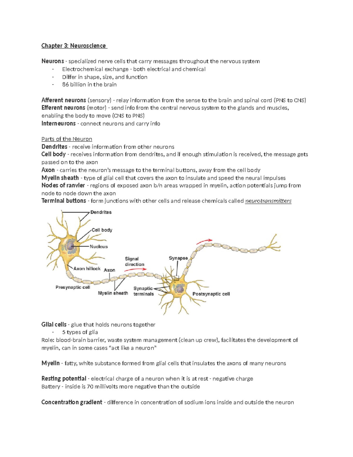 PS101 Notes Chap 3 - Chapter 3: Neuroscience Neurons - specialized ...