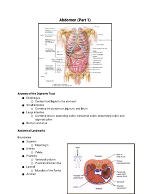 integumentary system worksheet - BIO 131 - Studocu