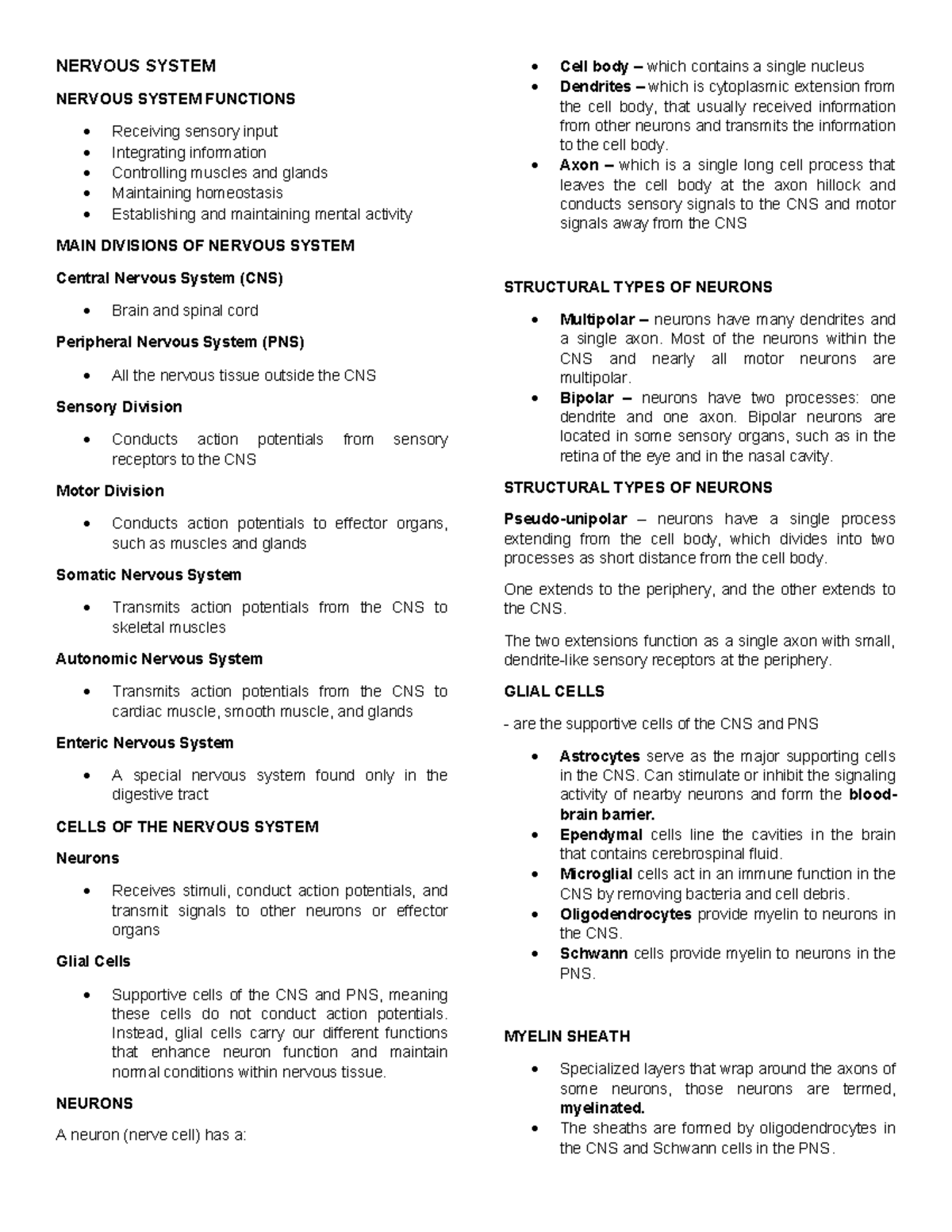Body System: Nervous System Lecture Notes - Theoretical Foundations in ...