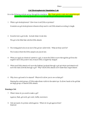 Fish Lab Report - [Last Name] 1 Kimberly Rauda Prof. Laila Ali Biology ...