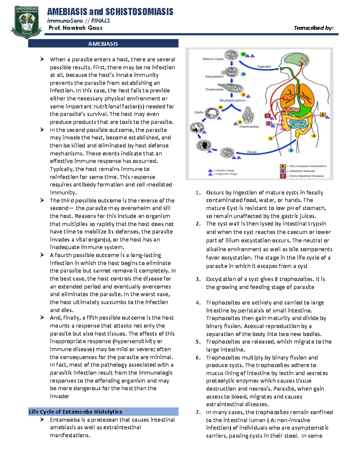 Amebiasis and Schistosomiasis (outline) - ImmunoSero // FINALS Prof ...