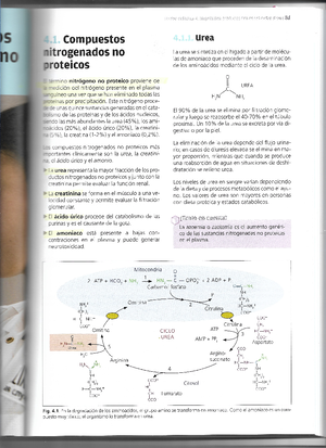 Unidad 3 libro de Bioquimica - Biología - Studocu