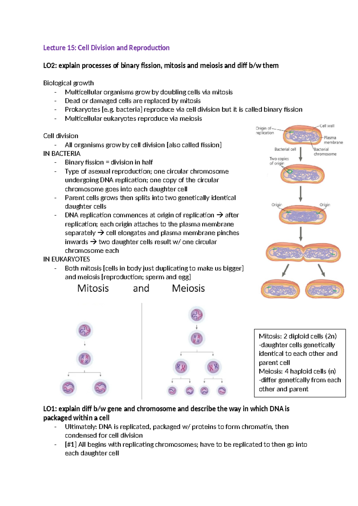 BABS Lec 15 Notes - Lecture 15: Cell Division and Reproduction LO2 ...