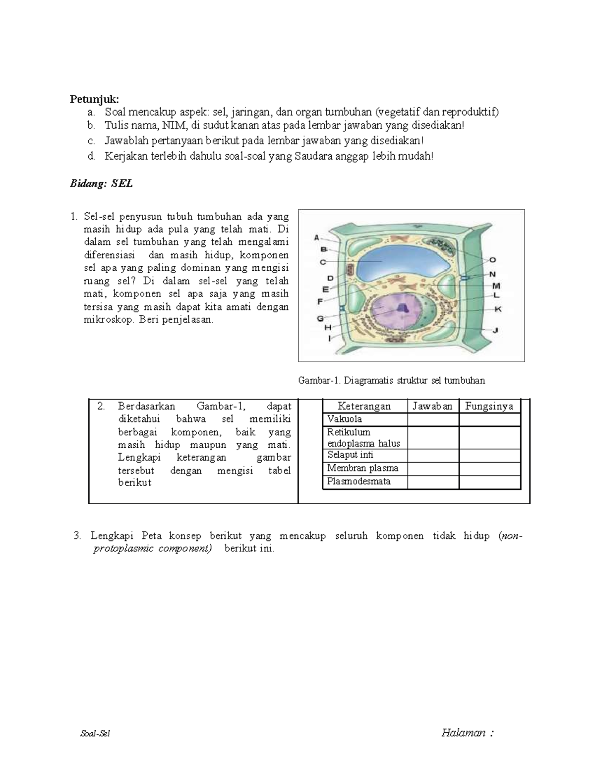 Anatomi tumbuhan - Soal-Sel Halaman : Petunjuk: a. Soal mencakup aspek ...