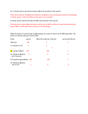 PTC and Haplotypes Lab Worksheet - In addition to completing this ...