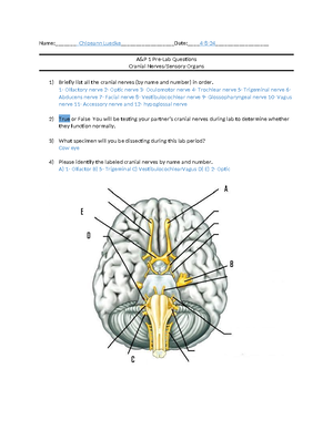 Evolution Concept Map - Studocu