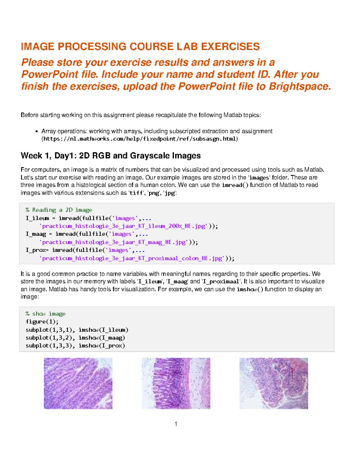 Week1 Exercises - Opdracht weekopdracht 1 matlab - IMAGE PROCESSING COURSE LAB EXERCISES Please ...