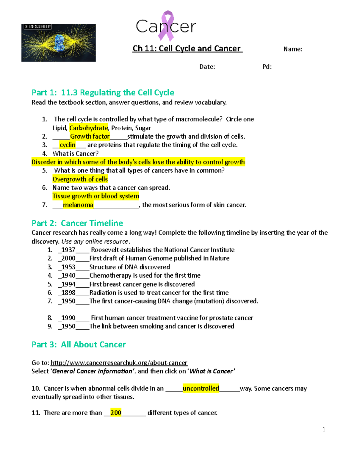 Ch 11 Cell Cycle and Cancer 21 finished - Ch 11: Cell Cycle and Cancer ...