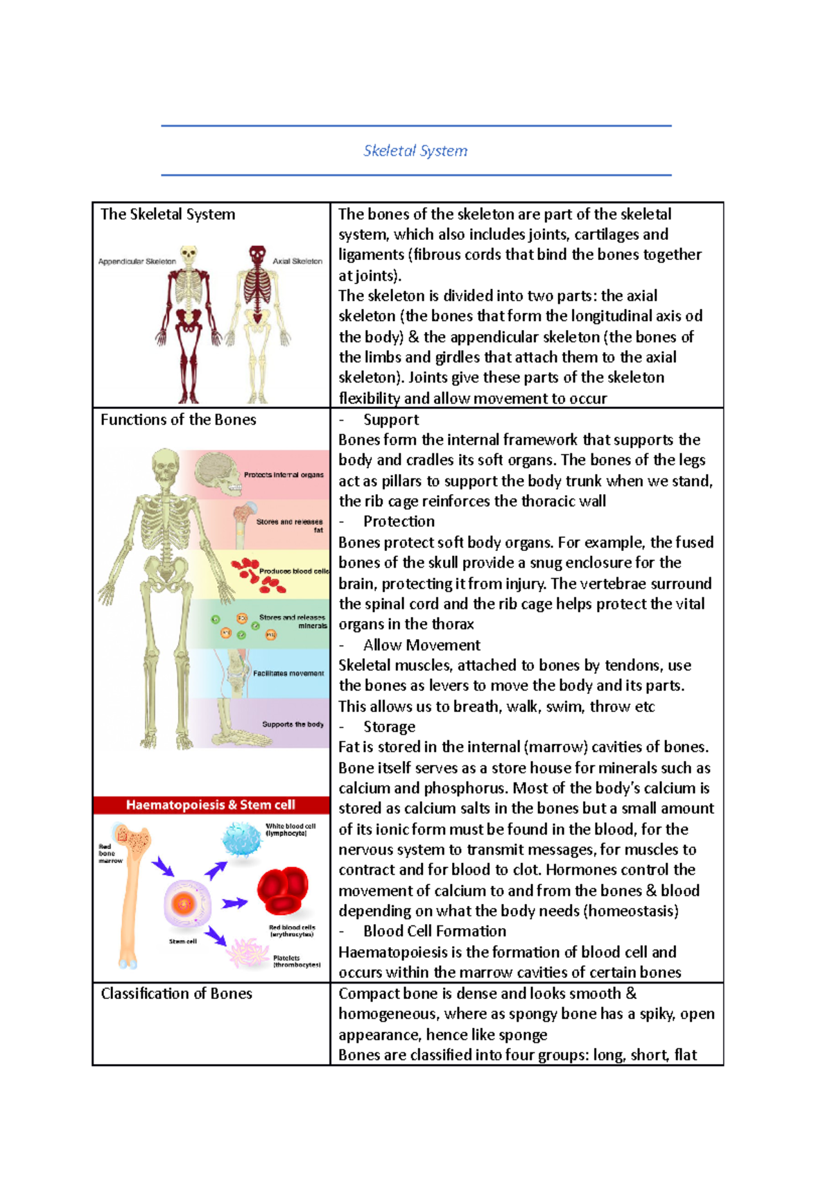 Skeletal System - The skeleton is divided into two parts: the axial ...