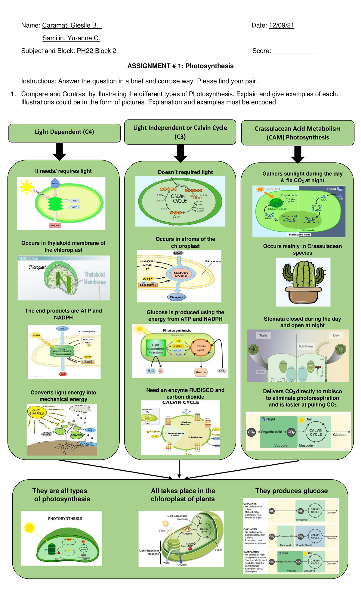 Assignment ( Photosynthesis ) - Name: Caramat, Gieslle B. Date: 12/09 ...