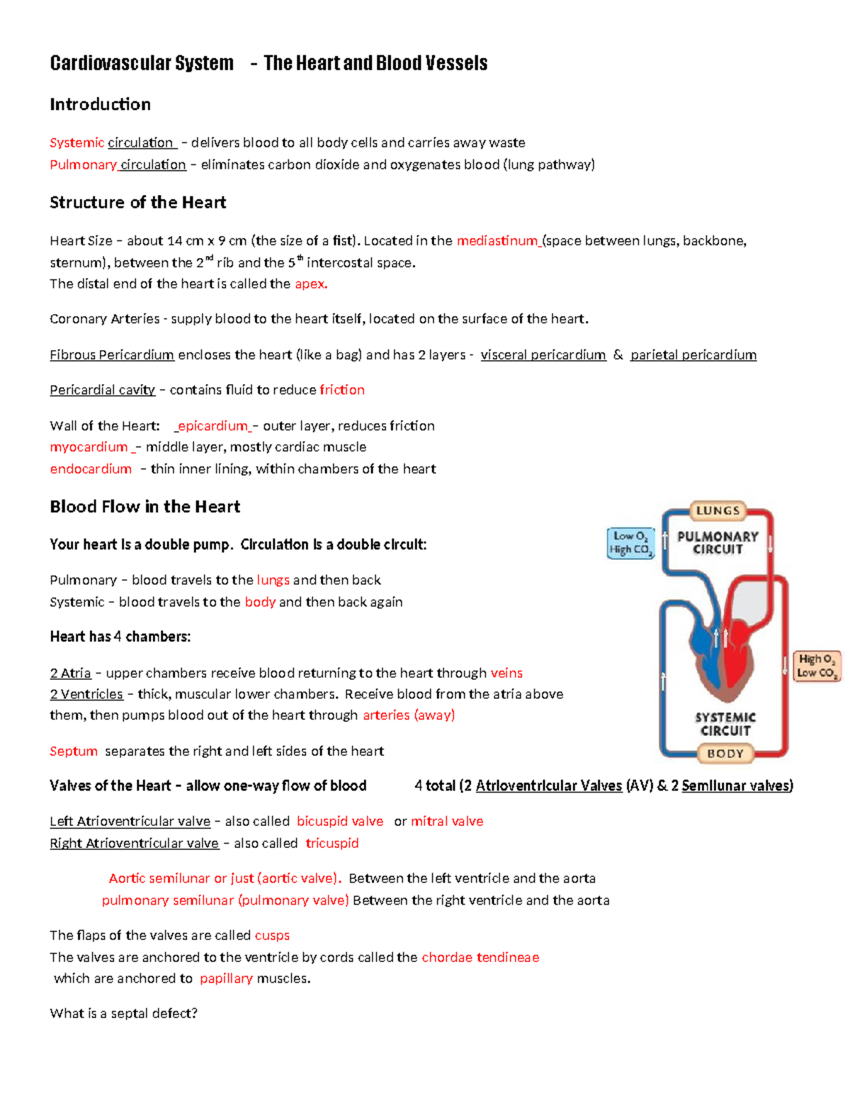 Cardiovascular System notes-The Heart and Blood Vessels ...