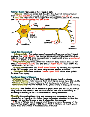 Lecture notes, lecture 1 - Very good notes for human physiology, with ...