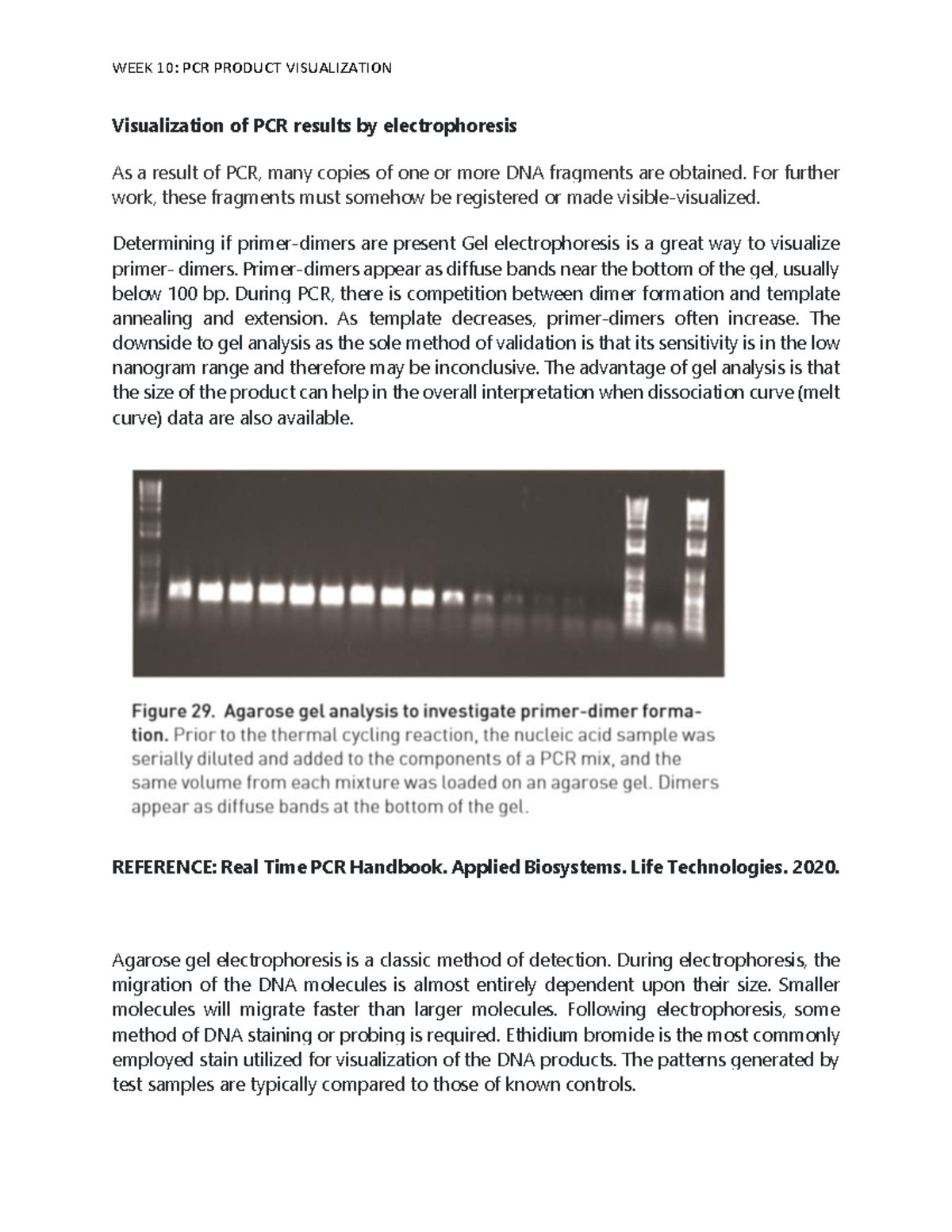Visualization of PCR results by electrophoresis - WEEK 10: PCR PRODUCT ...