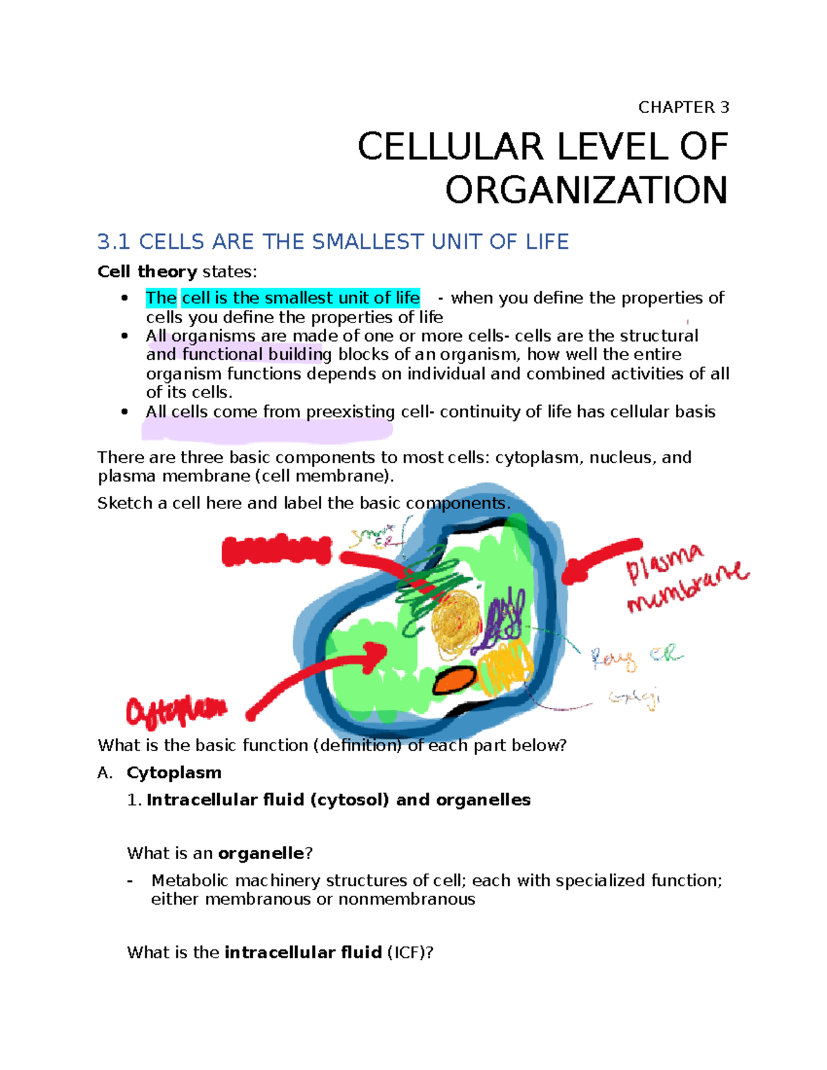 Ch 3-PART Review A&P1 - Lecture notes 3 - CHAPTER 3 CELLULAR LEVEL OF ...
