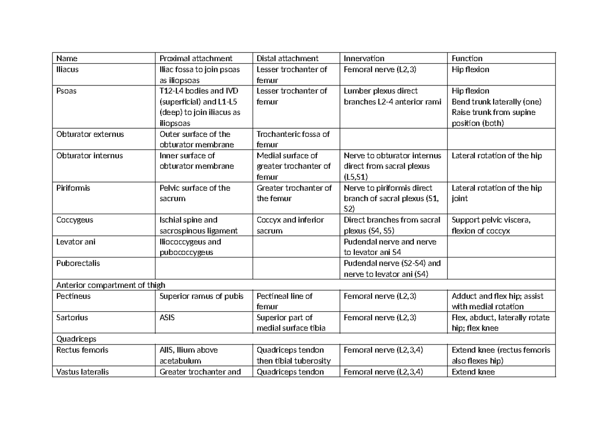 Lower LIMB - notes - Name Proximal attachment Distal attachment ...