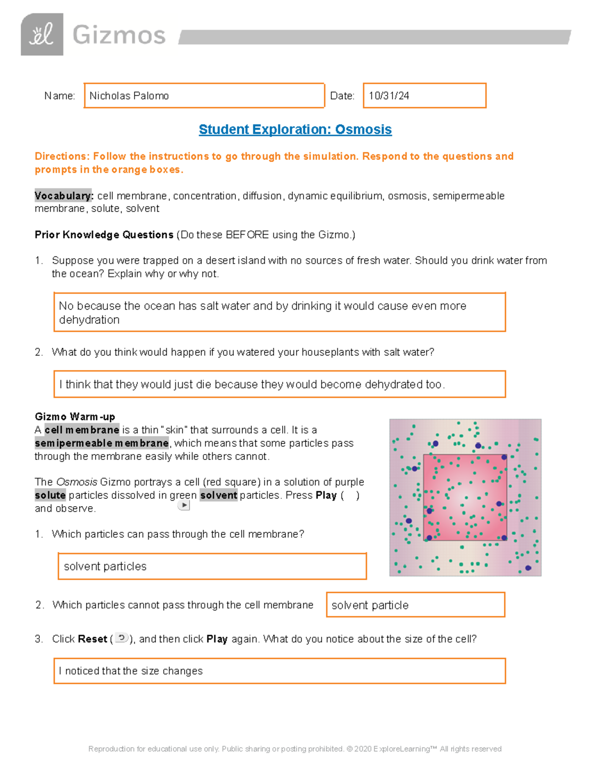 Copy of Osmosis SE - Name: Nicholas Palomo Date: 10/31/ Student ...