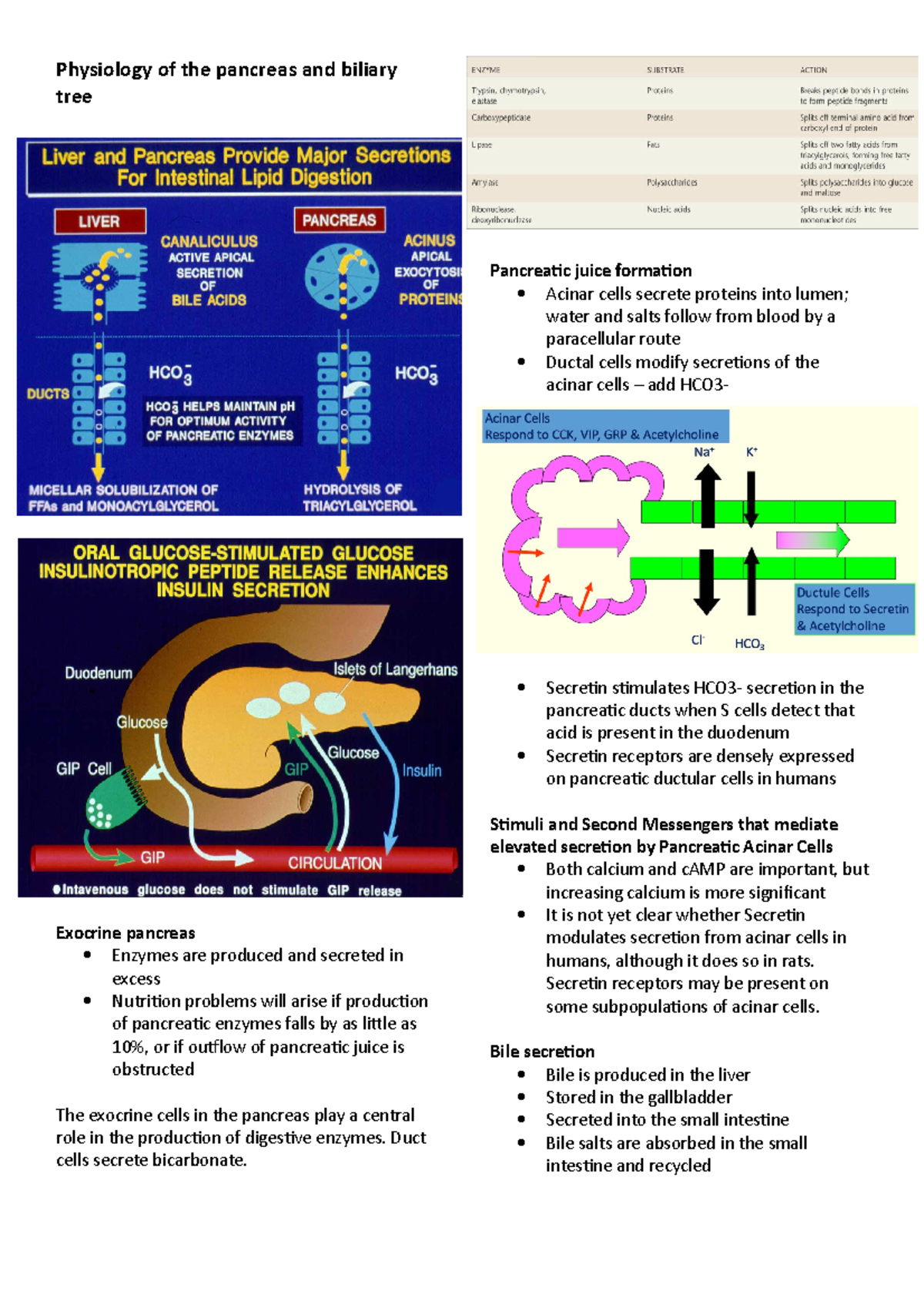 Physiology of the pancreas and biliary tree - Physiology of the ...