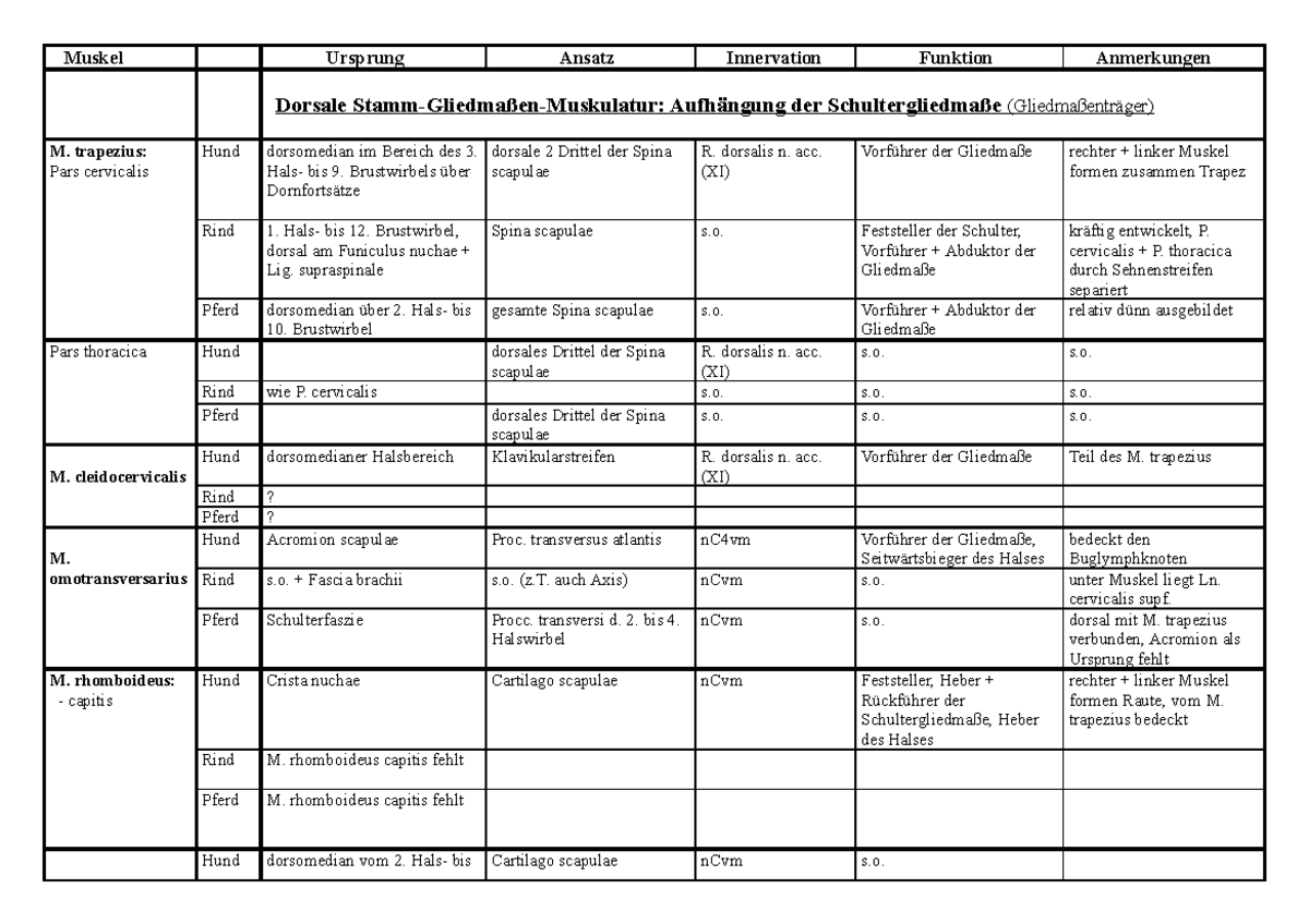 Muskeltabellen - Muskel Ursprung Ansatz Innervation Funktion ...