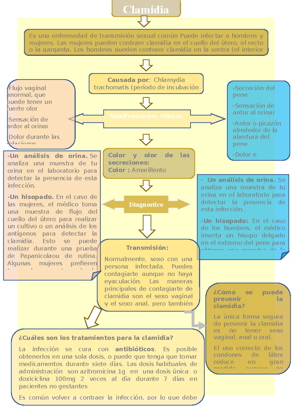 Mapa conceptual de la clamidia - Clamidia Color y olor de las ...