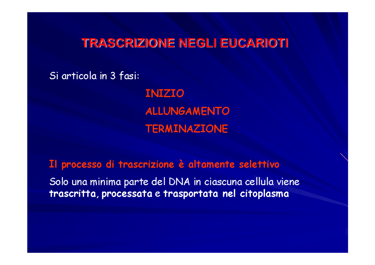 7 trascrizione eucariotica 2015 a - TRASCRIZIONE NEGLI EUCARIOTI Si ...