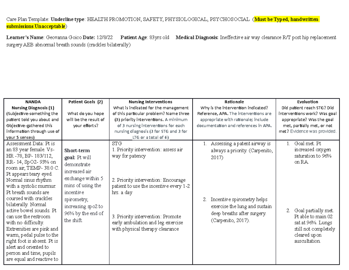Care Plan Template-2 - plan - Care Plan Template: Underline type ...