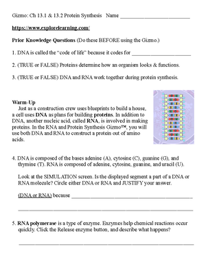 Bozeman Science Review - Biology I Mrs. Rea Name Score Cellular ...