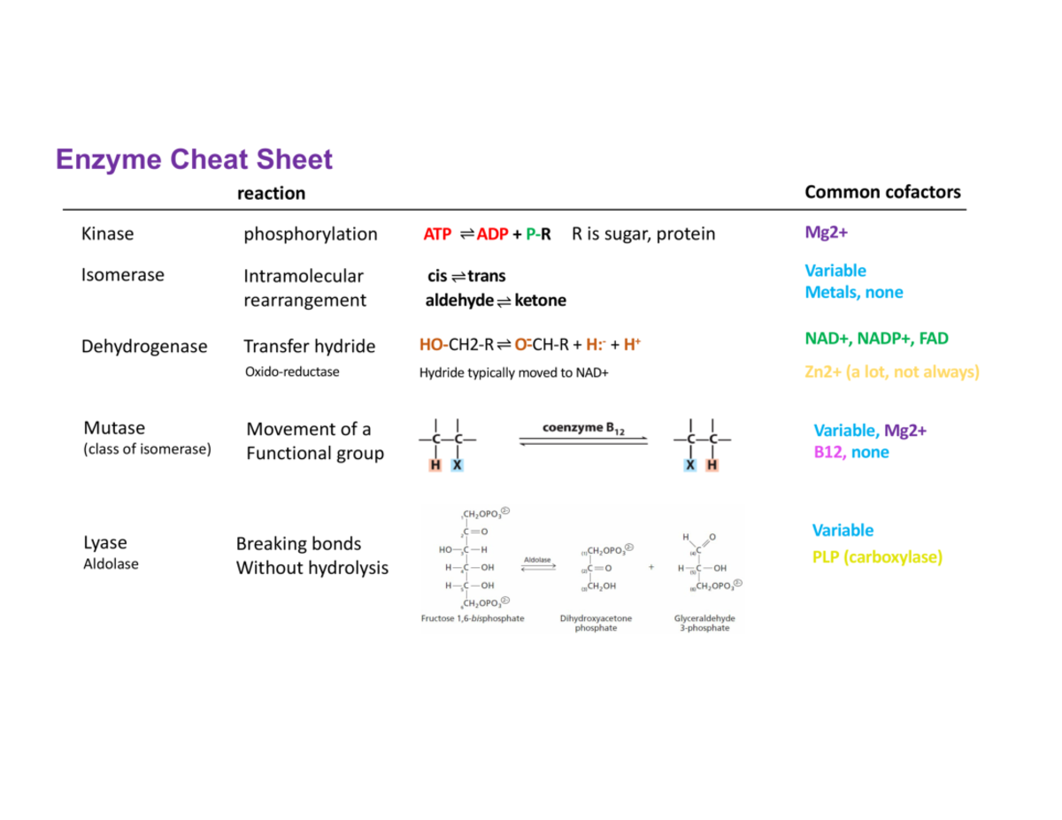 MBIO CHEM 2370 Lecture 4 2020 - Warning: TT: undefined function: 32 Warning: TT: undefined ...