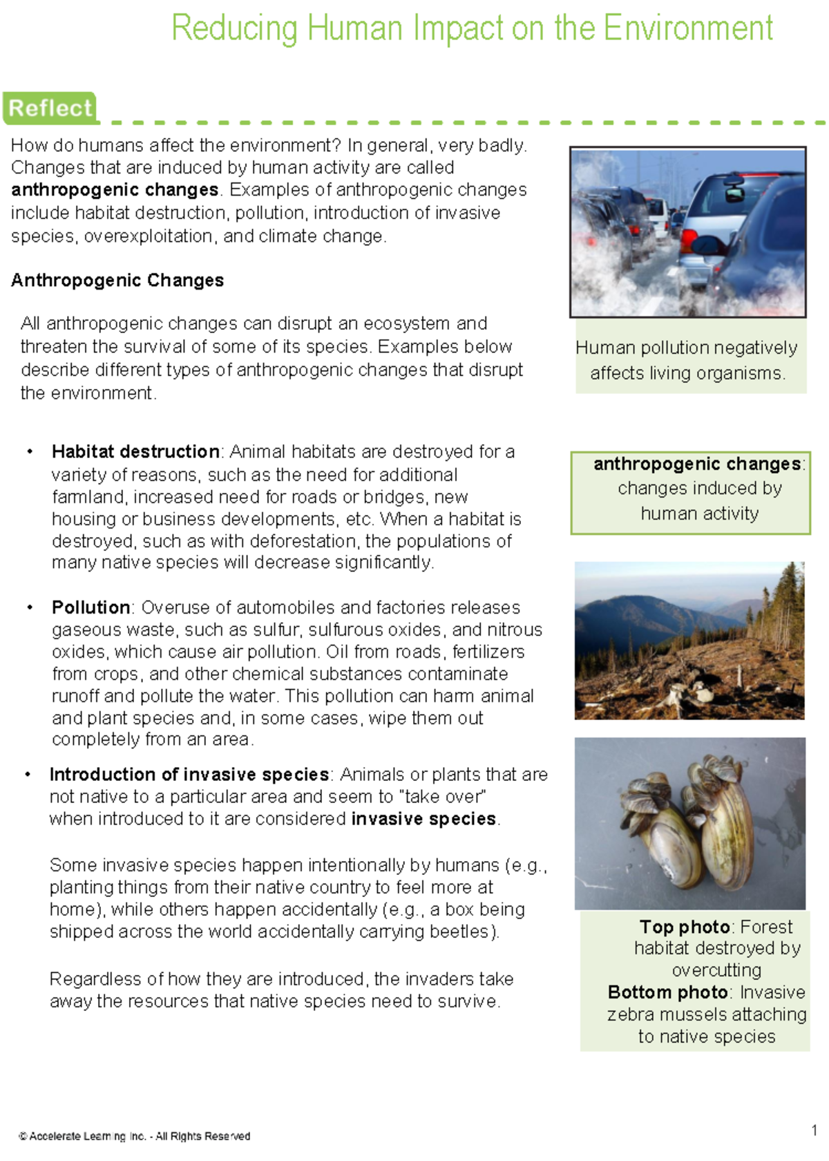 Student Notesv STEMscopedia - How do humans affect the environment? In ...
