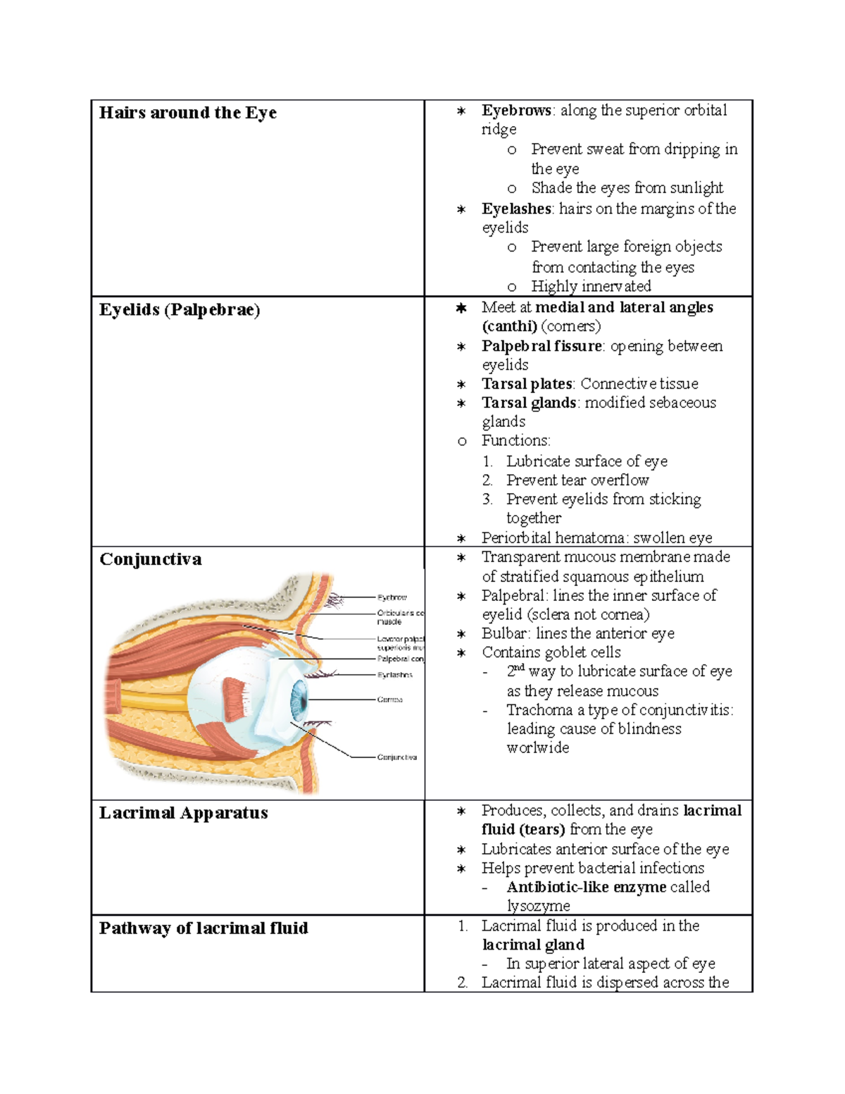 Mod 25 - Orbit; Visual system - Hairs around the Eye Eyebrows : along ...