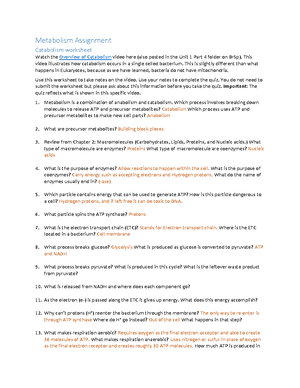 BIO 275 Bacterial Identification - BIO 275 - Central Piedmont - Studocu