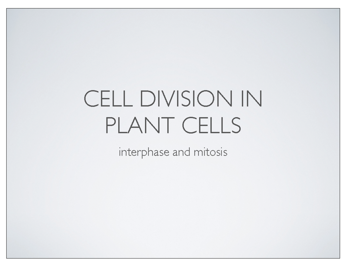 Plant Cell Mitosis - CELL DIVISION IN PLANT CELLS interphase and ...
