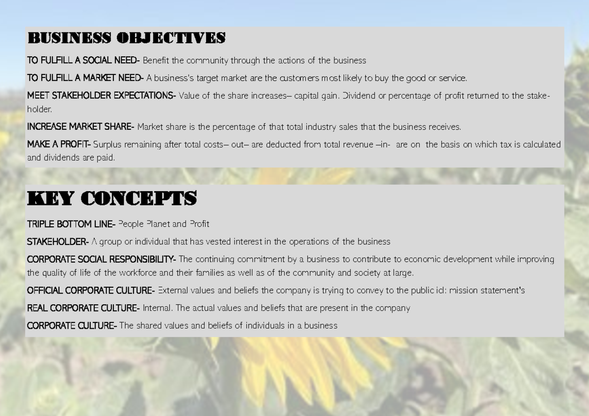 Publication 1 - Infographic - BUSINESS OBJECTIVES TO FULFILL A SOCIAL ...