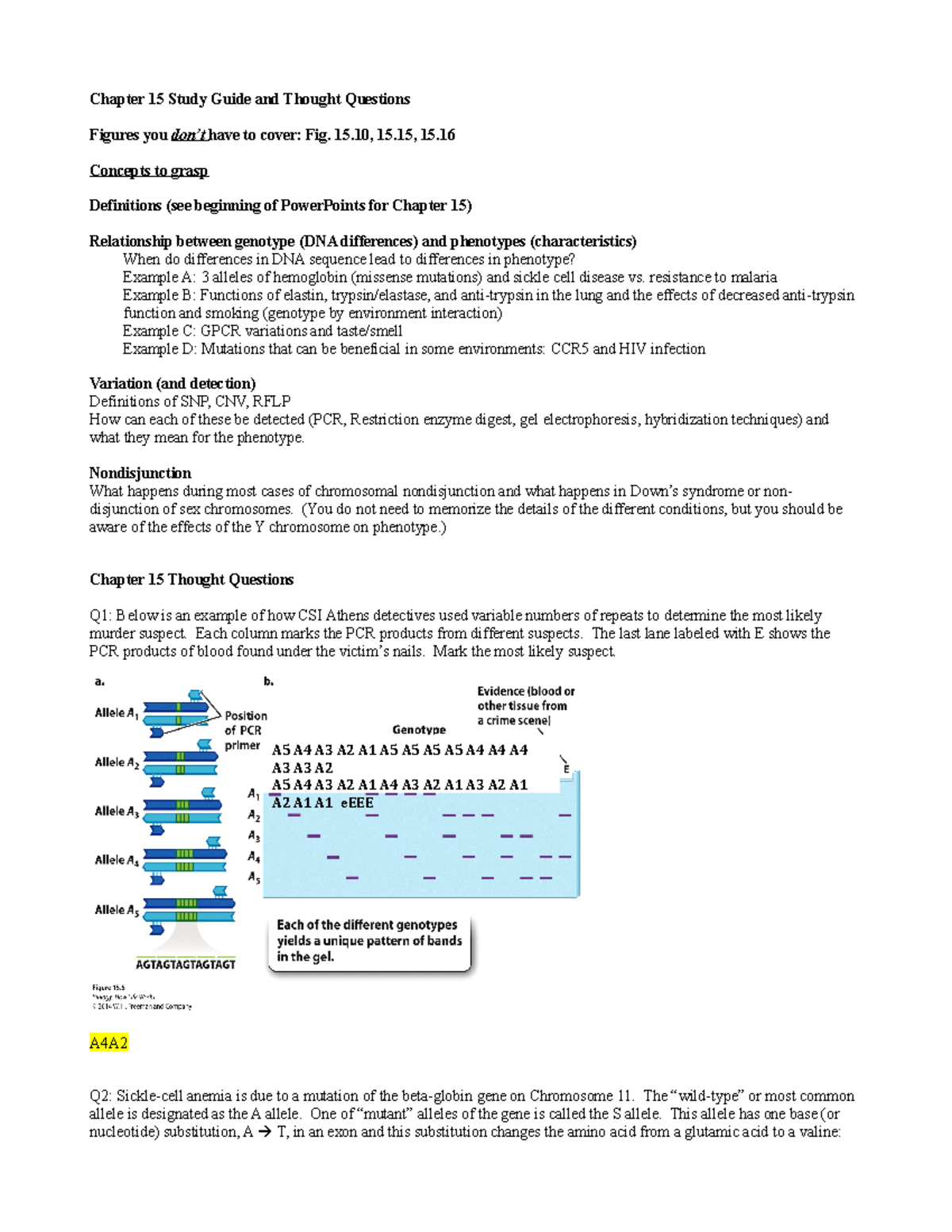 Ch15 Study guide - Chapter 15 Study Guide and Thought Questions Figures ...
