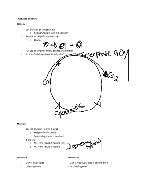 Usmle world step 3 high yield notes 90 pages - Biostats Hazards Ratio ...