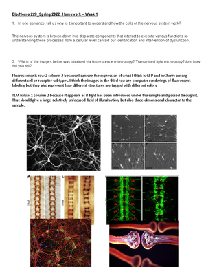 Bio/Neurosci 223 Cellular and Molecular Neurobiology Lecture and ...