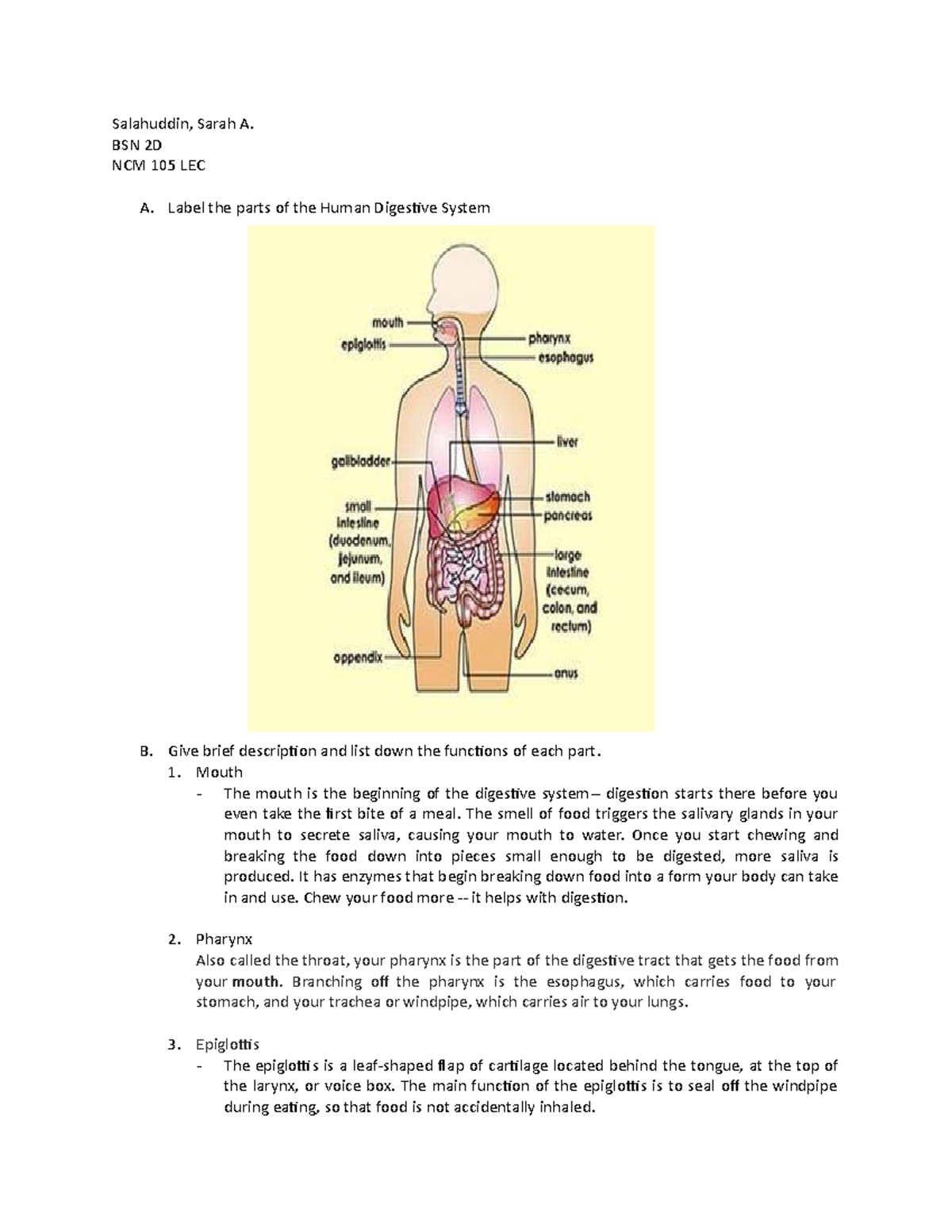 Human Digestive System (Anatomy an d Physiology) - Salahuddin, Sarah A ...